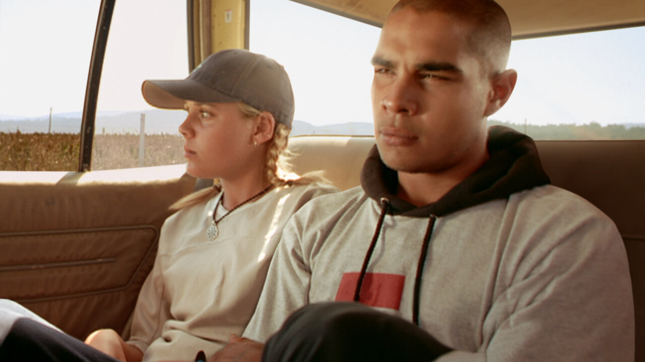 Beneath Clouds Mycelium Clouds Leeroy New Mycelium Refers To A