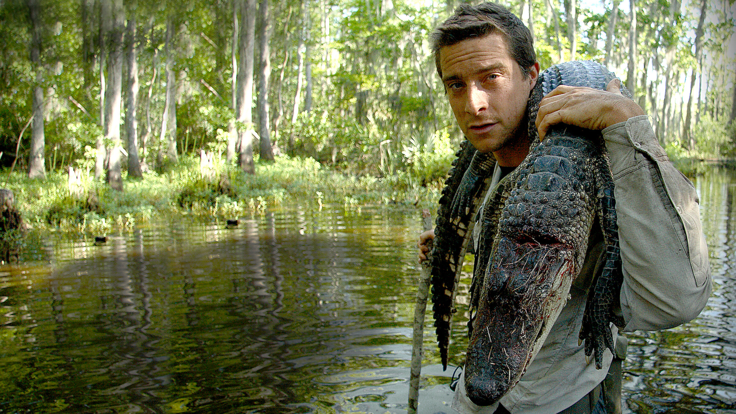 Images Of Bear Grylls Man Vs Wild Man Vs Wild: Season 3 In Kuwait