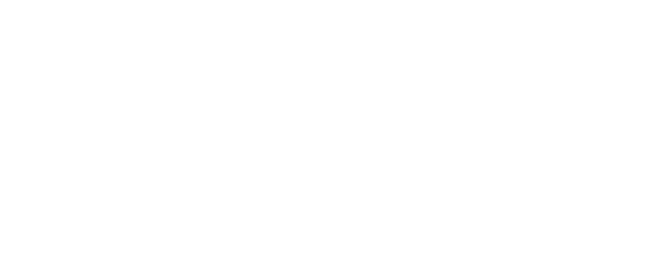 Borgen Logo