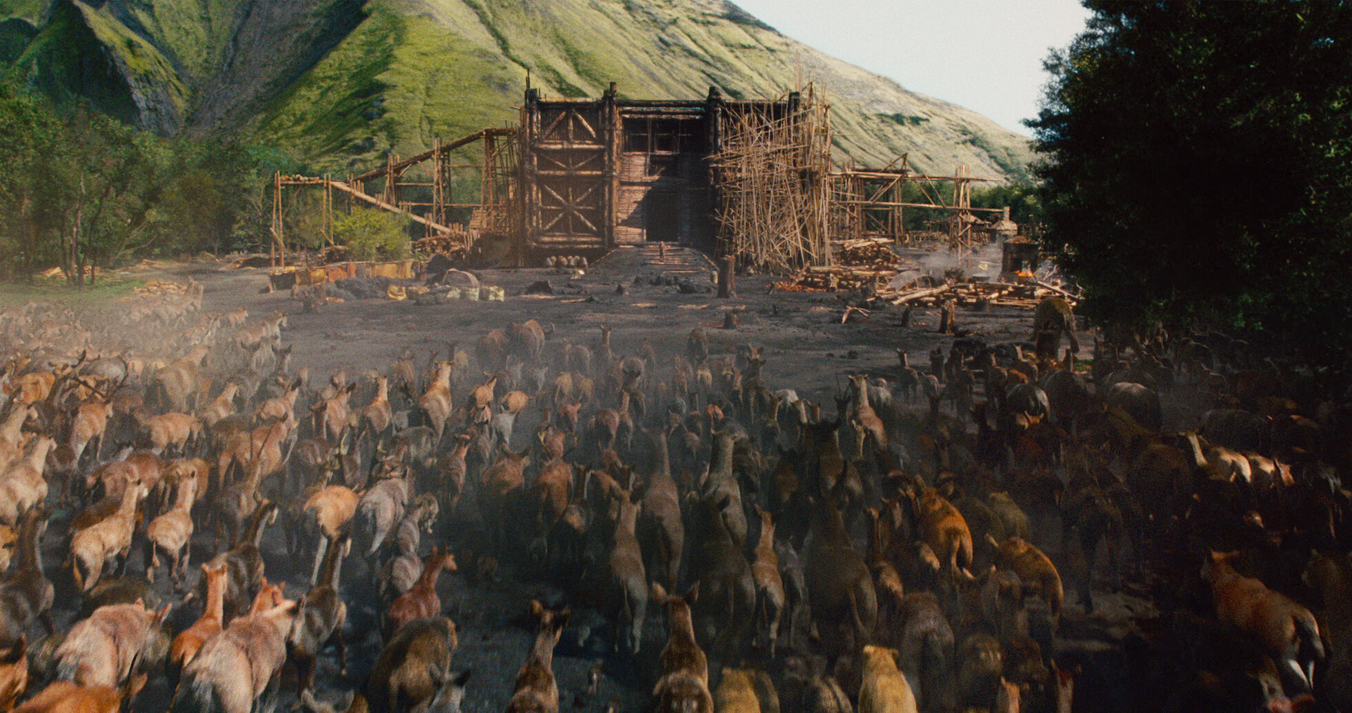 Noah 2014 Film
